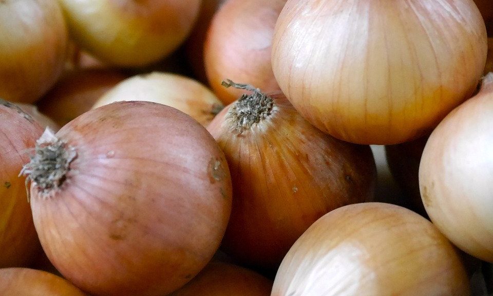 LES BIENFAITS DE L’OIGNON | VIE D'EDEN